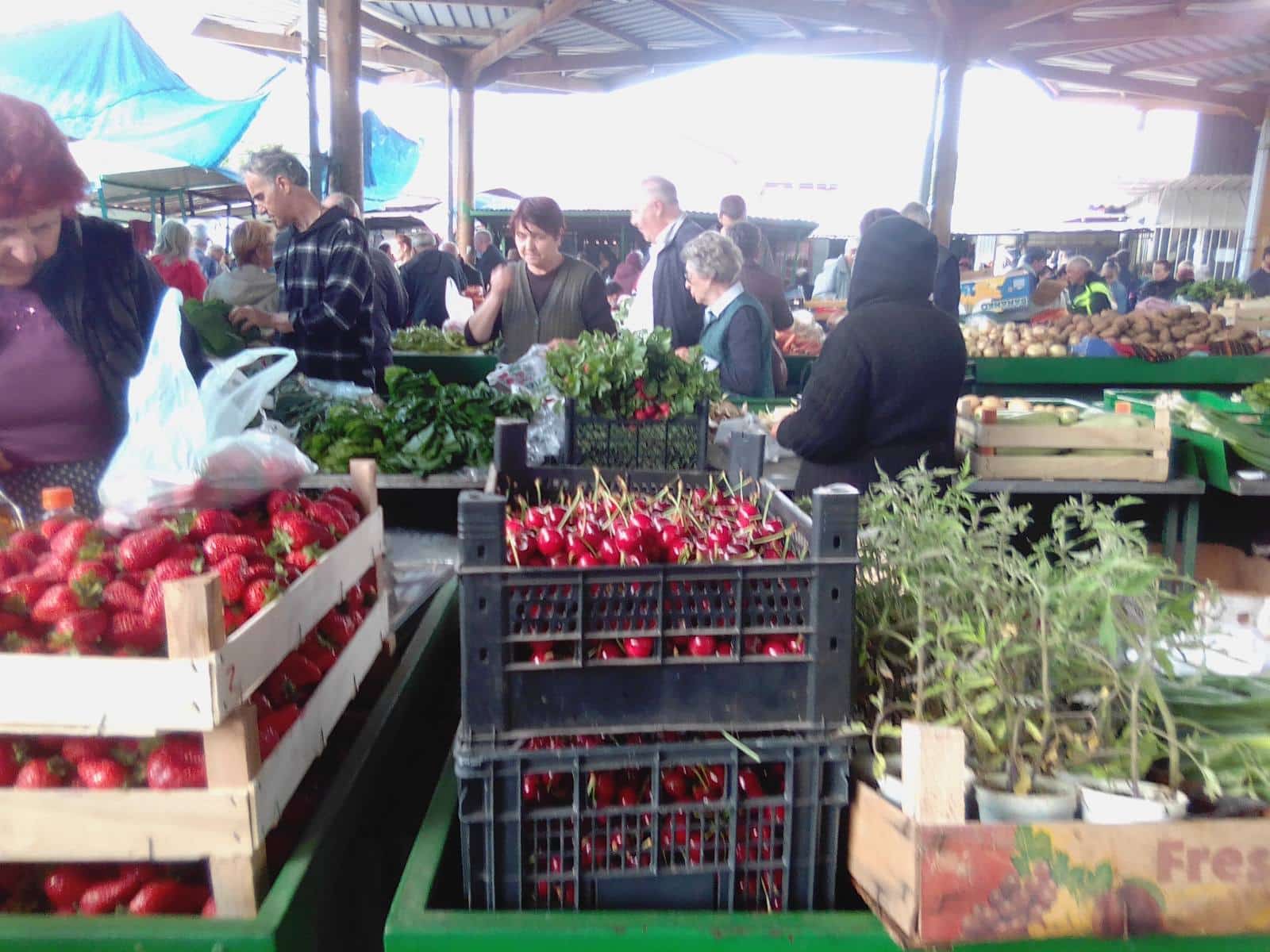 Gornja pijaca: PRVE TREŠNJE i do 500 dinara - InfoVranjske